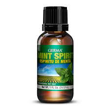ESPIRITU DE MENTA / MINT SPIRIT 1oz /72 | PJ DISTRIBUTORS